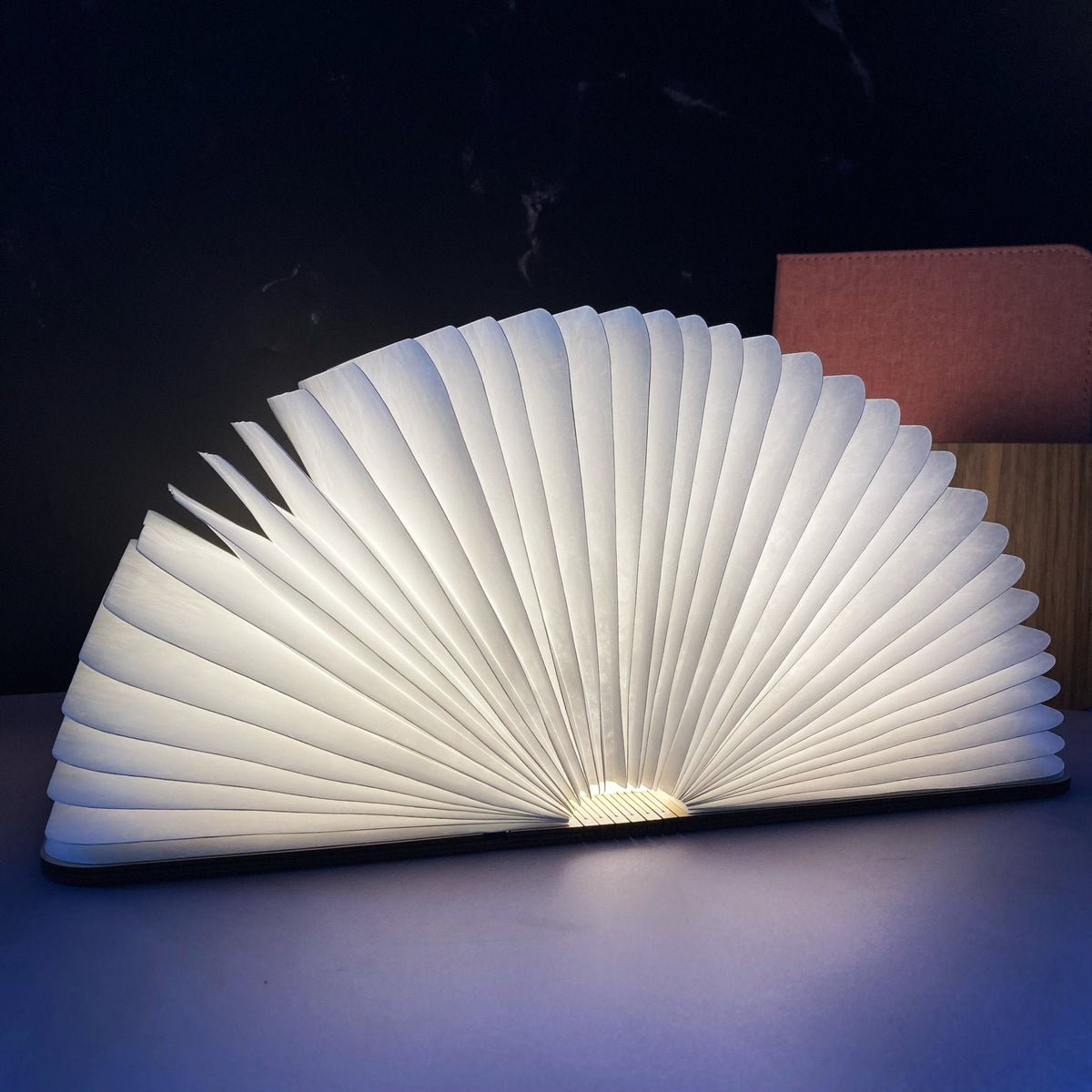 Reading Book Light Wooden Finish Rechargeable Willoughby Book Club WBC ...